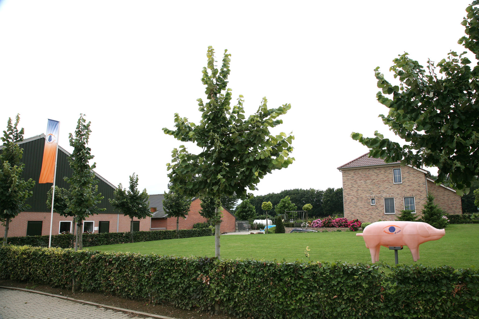 Boerderij Op Gên Hei (Berg aan de Maas) - niet meer actief - The Pig Story